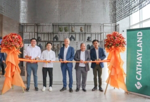 Transforming Metro South with Ananda Square - Cathay Land Inc.